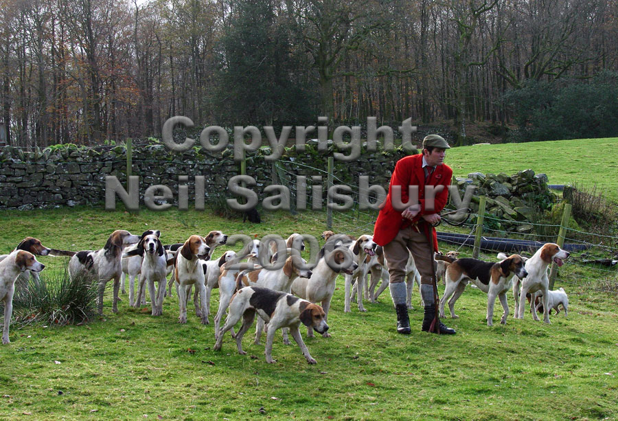 Betty Fold | Images of Lakeland | Hawkshead Self Catering Holidays ...